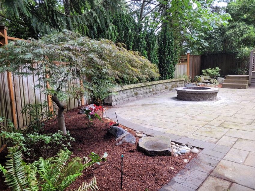 Top Tips for Tree Planting - Seattle Landscaping, Hardscaping, Patio ...
